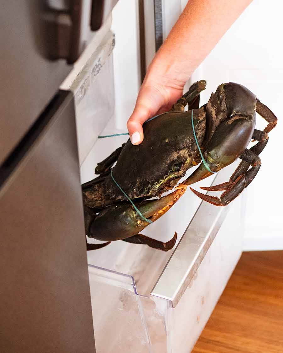 Can you put crab in the fridge?