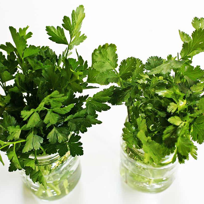 Can you put cut parsley in water?