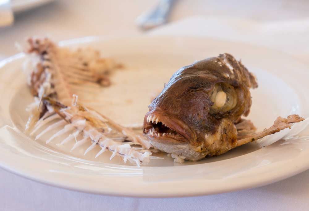 Can you put fish bones in the garbage disposal?