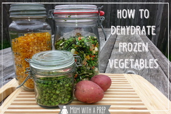 Can you put frozen food in dehydrator?