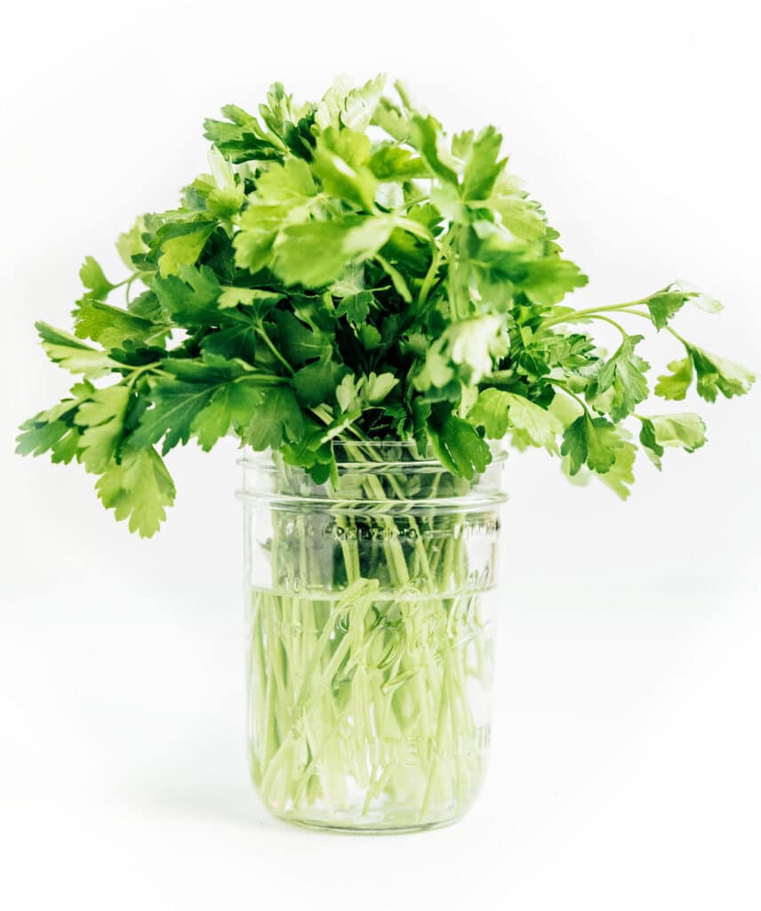 Can you put parsley in a vase?