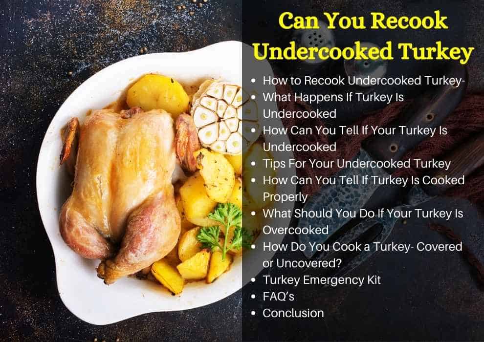 Can you Recook undercooked meat?