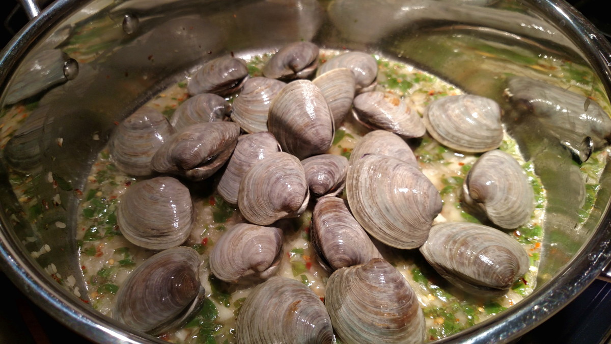 Can you refrigerate clams in the shell?