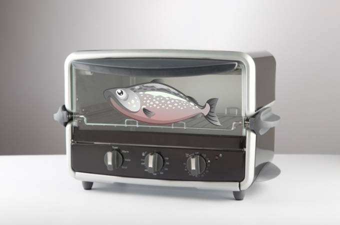 Can You reheat fish in a toaster oven?