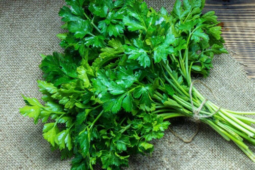 Can you repair your liver with parsley?