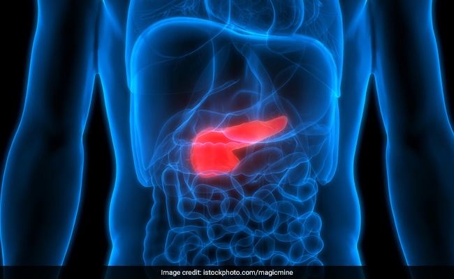 Can you reverse pancreatic damage?