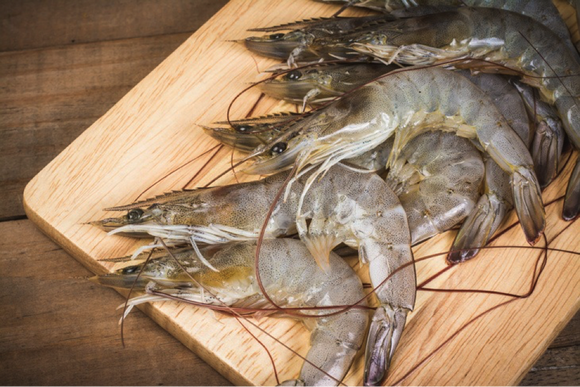 Can you run water over shrimp?