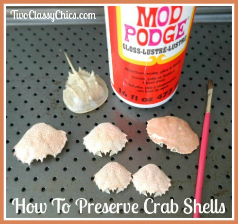 Can you save crab shells?