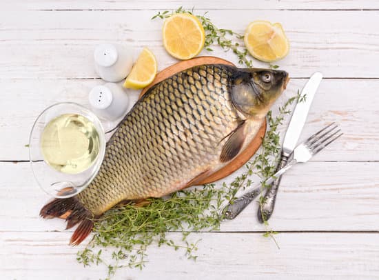 Can you save fish after cooking?