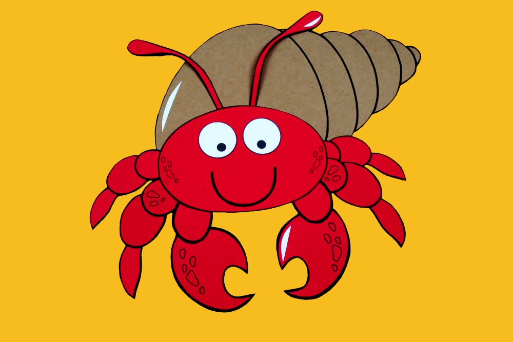 Can you set hermit crabs free?