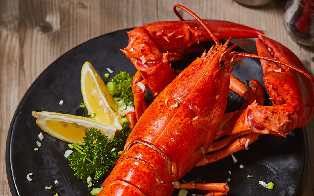 Can you ship cooked lobster?