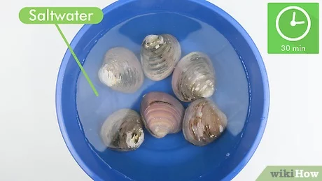 Can you soak clams in salt water?