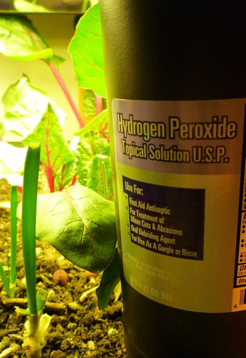 Can you spray straight hydrogen peroxide on plants?