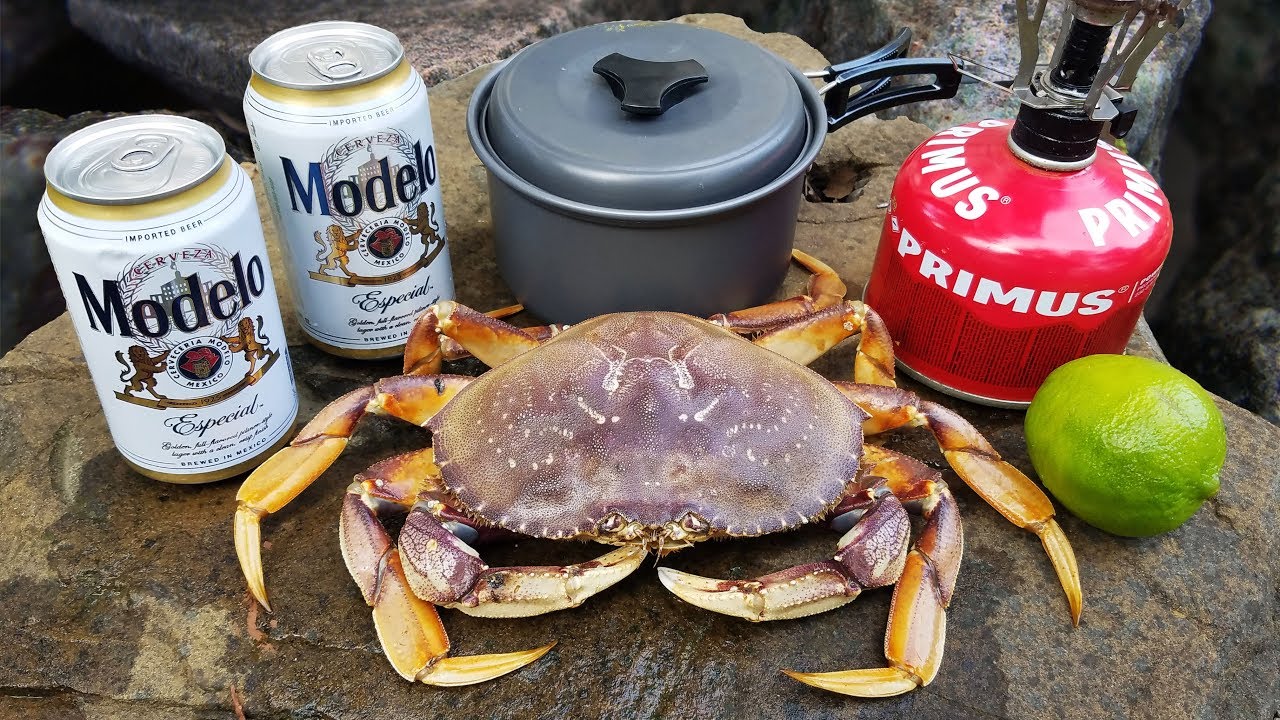 Can you steam crab with beer?