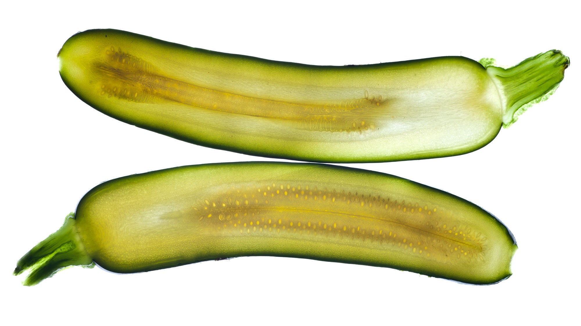Can you still cook large zucchini?