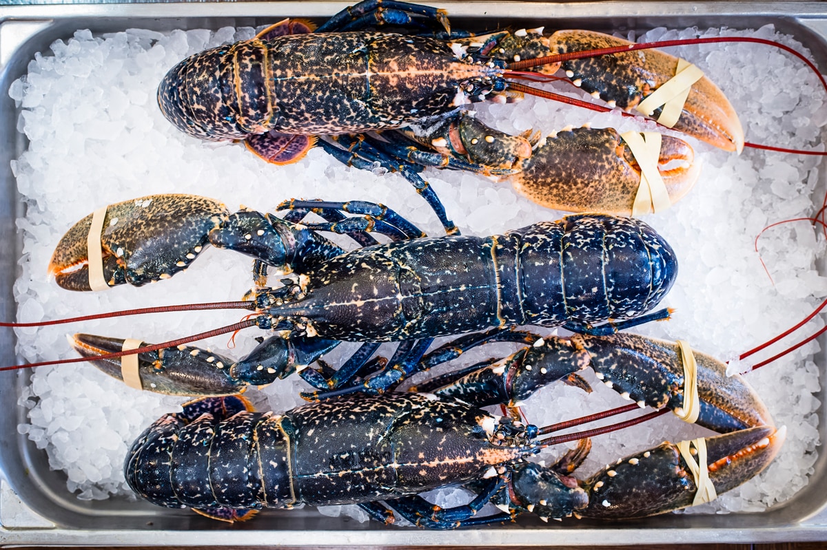 Can you still eat lobster in the UK?