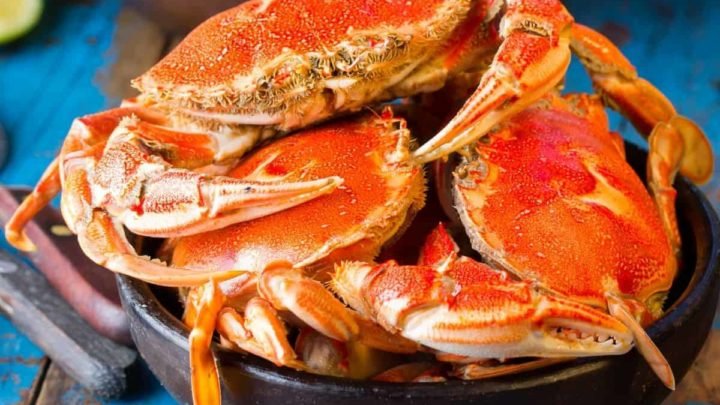 Can you store cooked crab in the shell?