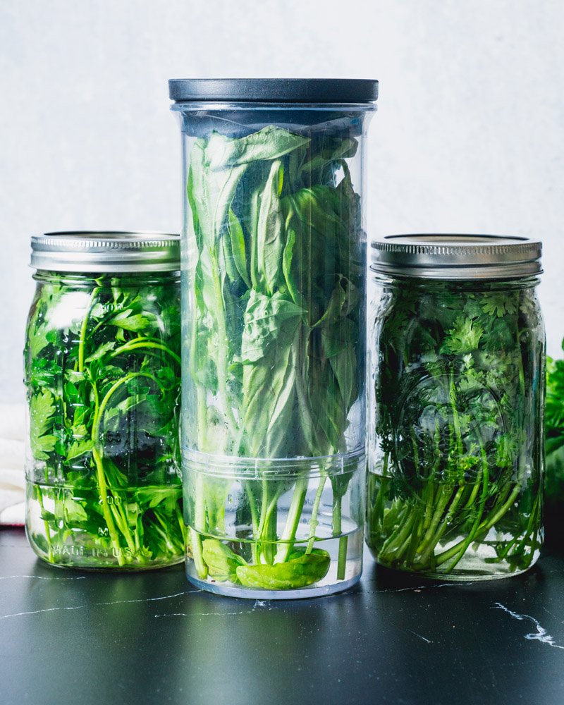 Can you store fresh herbs on the counter?