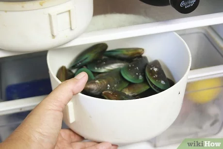 Can you store live seafood in fresh water?