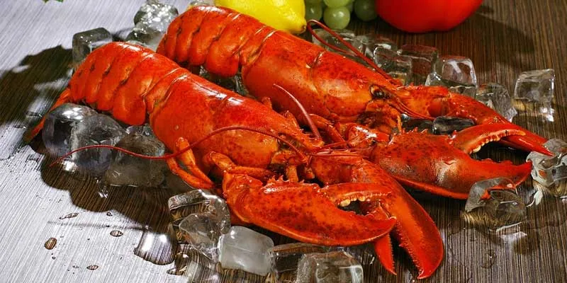 Can you store uncooked lobster in the freezer?