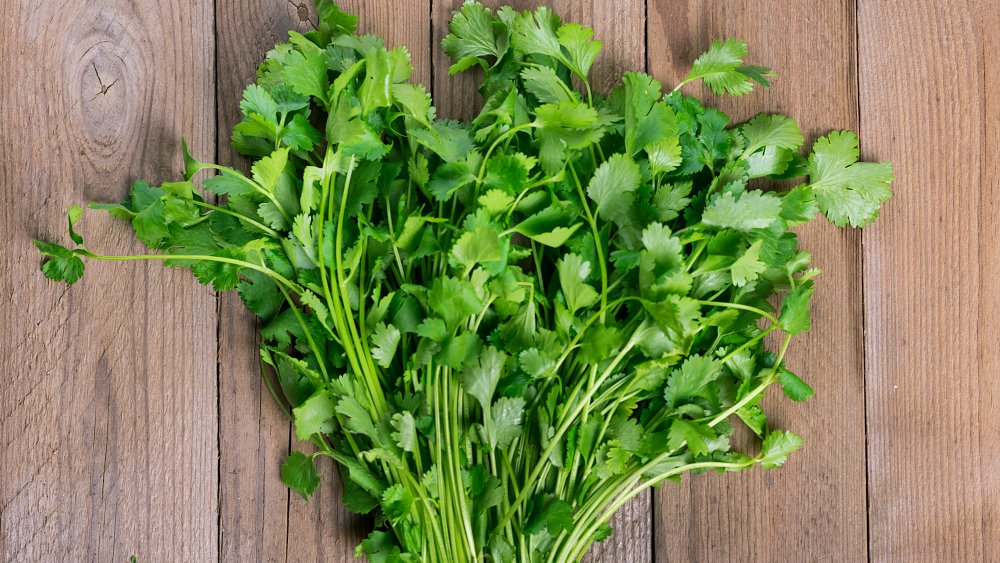 Can you substitute Italian parsley for cilantro?