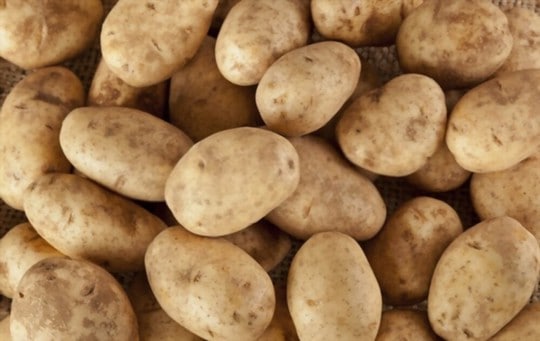 Can you substitute Russet for gold potatoes?