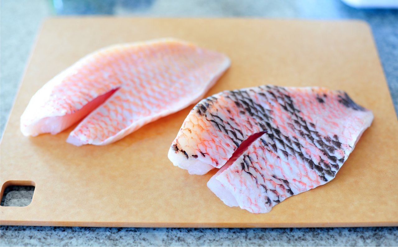 Can you substitute tilapia for salmon?