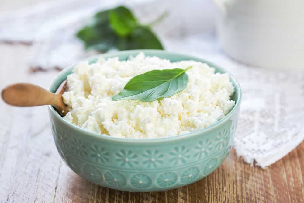 Can you substitute yogurt for ricotta cheese?