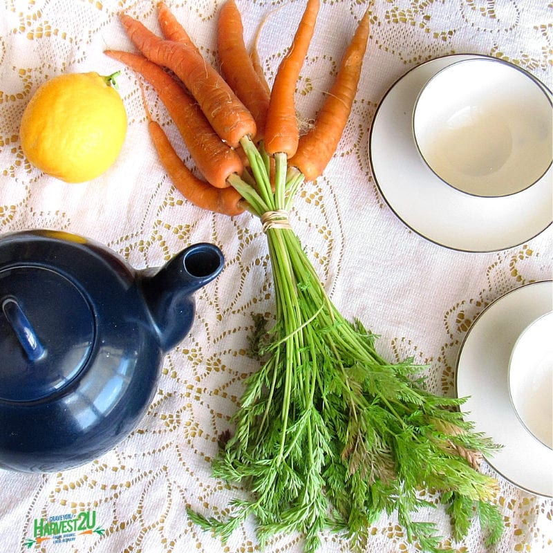 Can you use carrot leaves for tea?