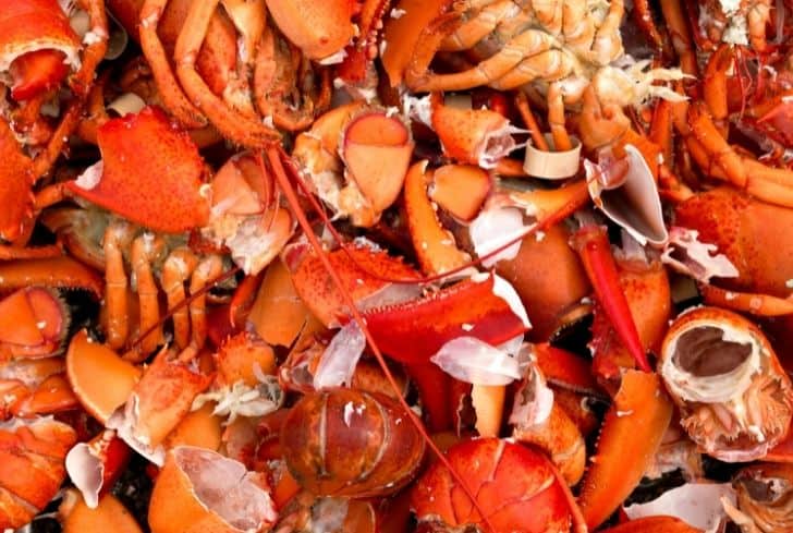 Can you use lobster shells?