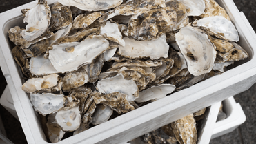 Can you use oyster shells to make stock?