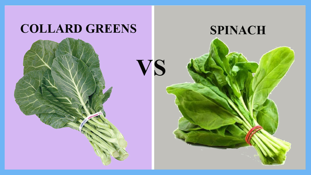 Can you use spinach in place of collard greens?