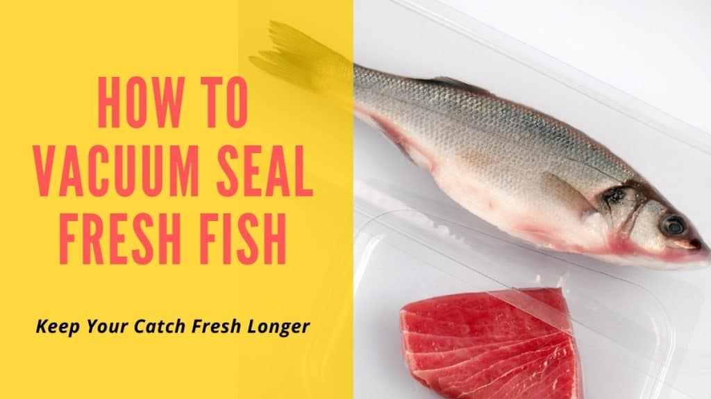 Can you vacuum seal fish with water?