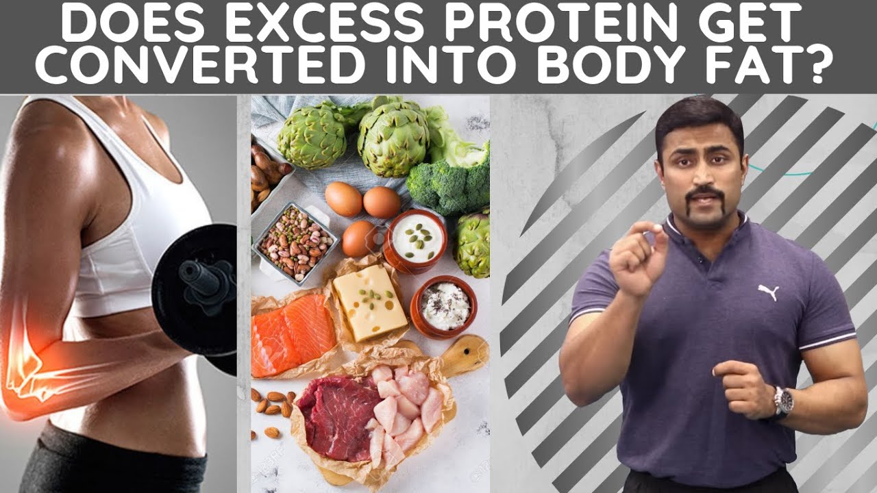 Can your body turn excess protein into fat?