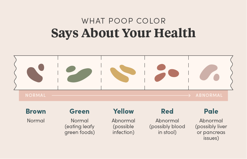 Can your bowel movements change as you get older?