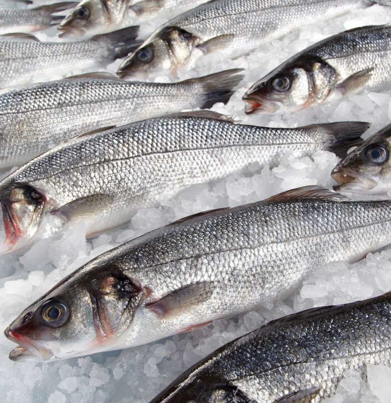 Could a diet rich in fish extend your life?