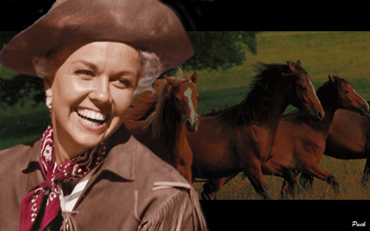 Did Doris Day do all the riding in Calamity Jane?