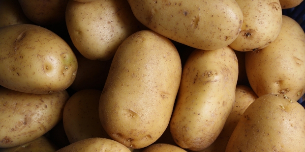 Did potatoes save the Irish?