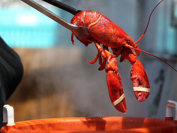 Did the UK ban boiling lobsters?