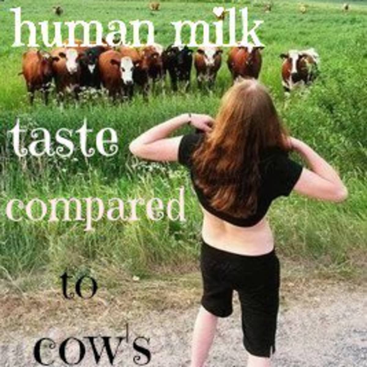 Do all cows milk taste the same?