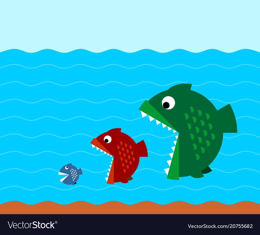 Do all fish eat smaller fish?
