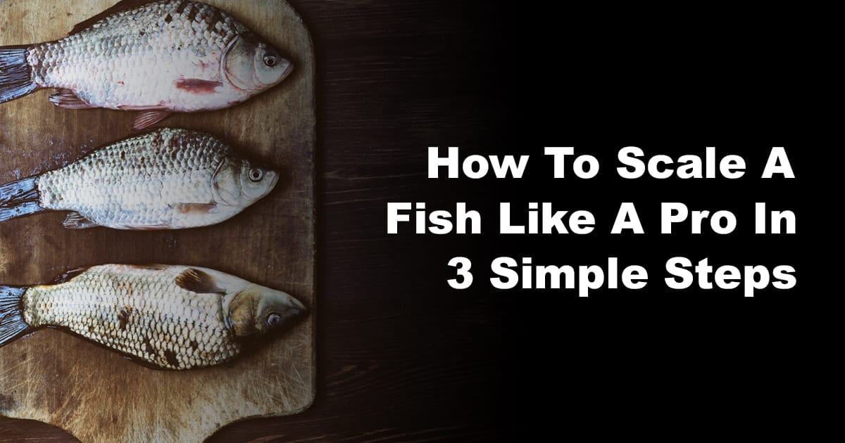 Do all fish need to be scaled?