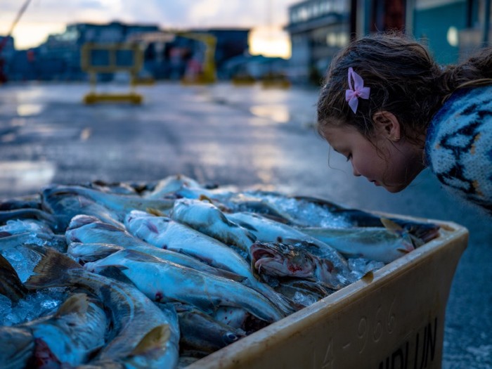 Do all fish smell the same?