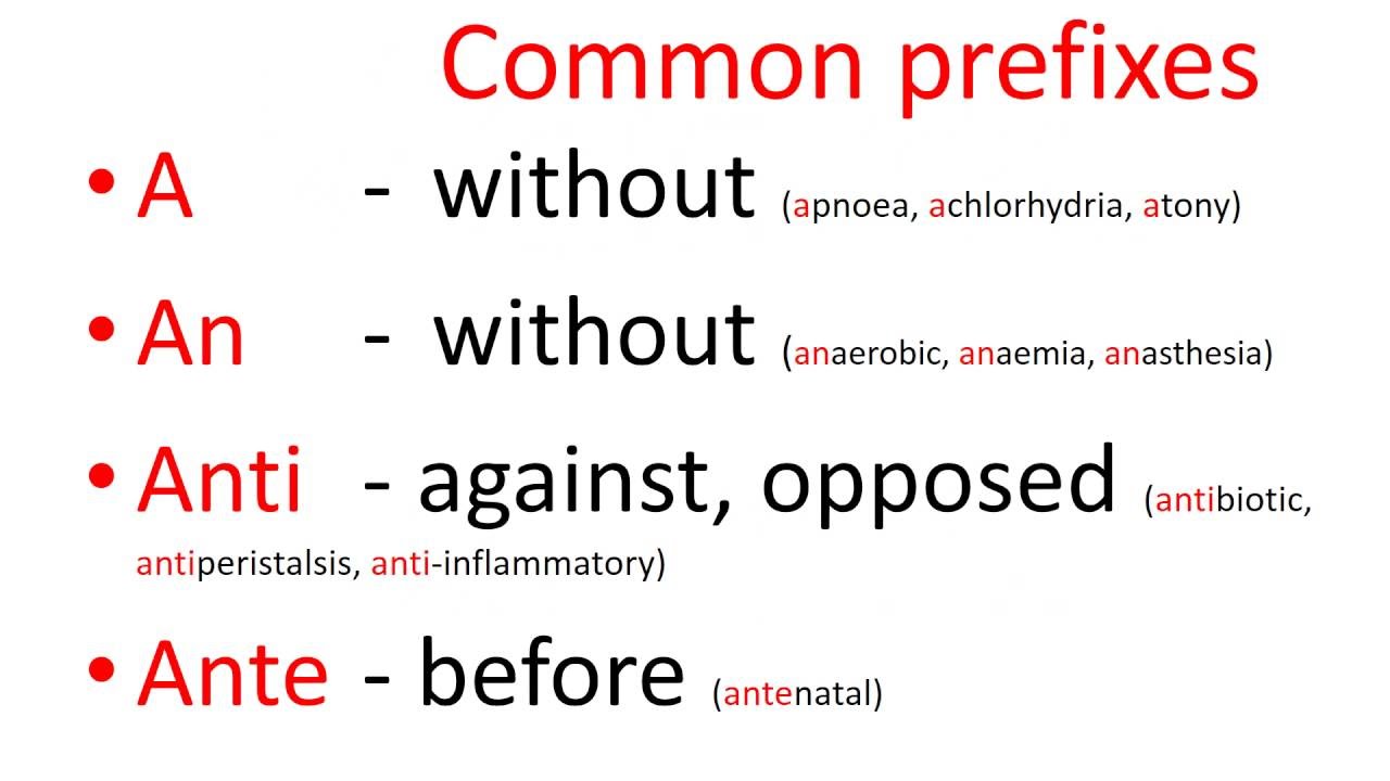 Do all medical terms have a prefix?