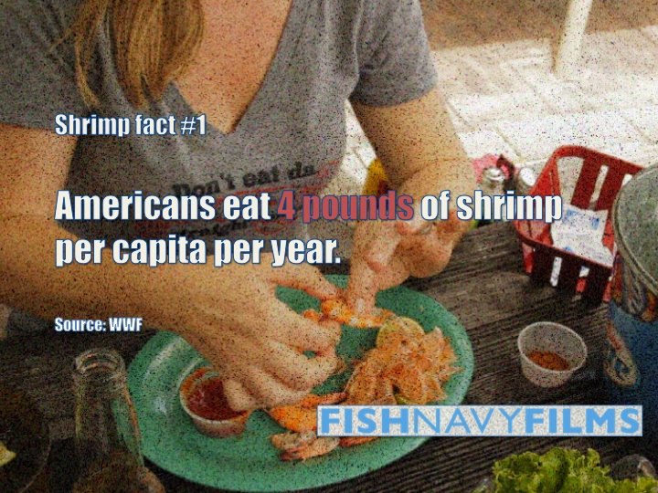 Do Americans really eat so many shrimp?