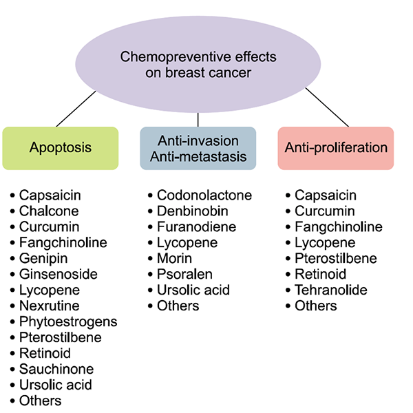 Do antioxidants interfere with chemotherapy?