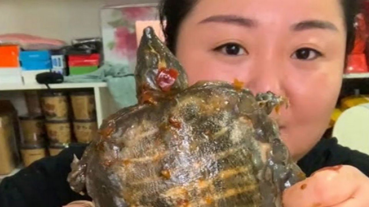 Do Asians eat turtle eggs?