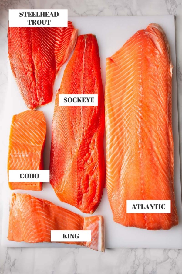 Do Atlantic and Pacific salmon taste different?