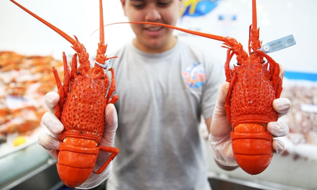 Do Australians eat seafood for Christmas?