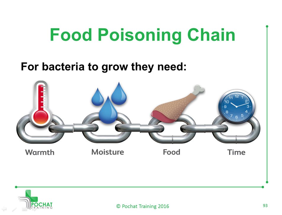 Do bacteria need food?